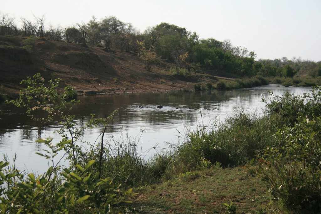 de Tsendze loop van de rivier in het Zuid-Afrikaanse Krugerpark